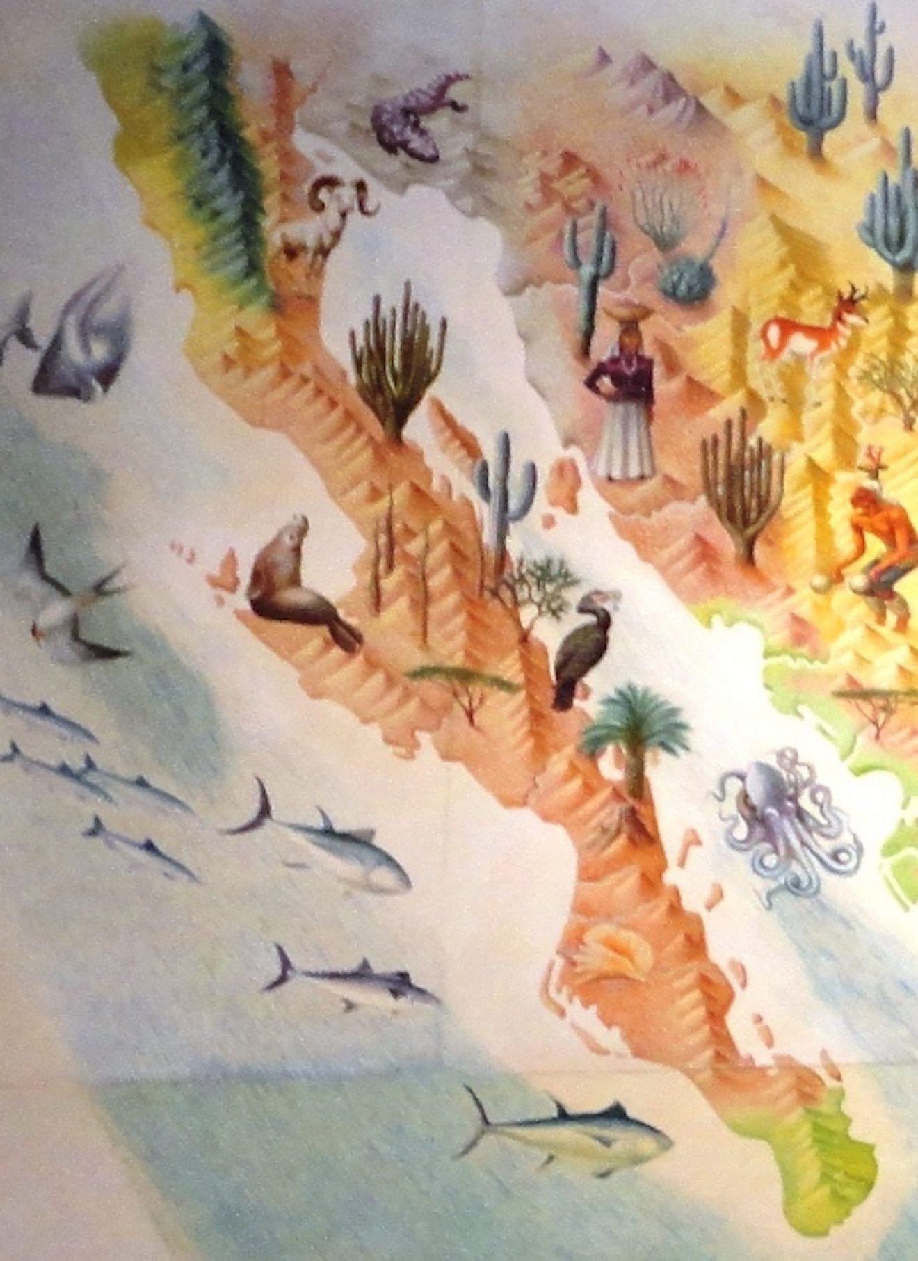 Baja California | AAMAP