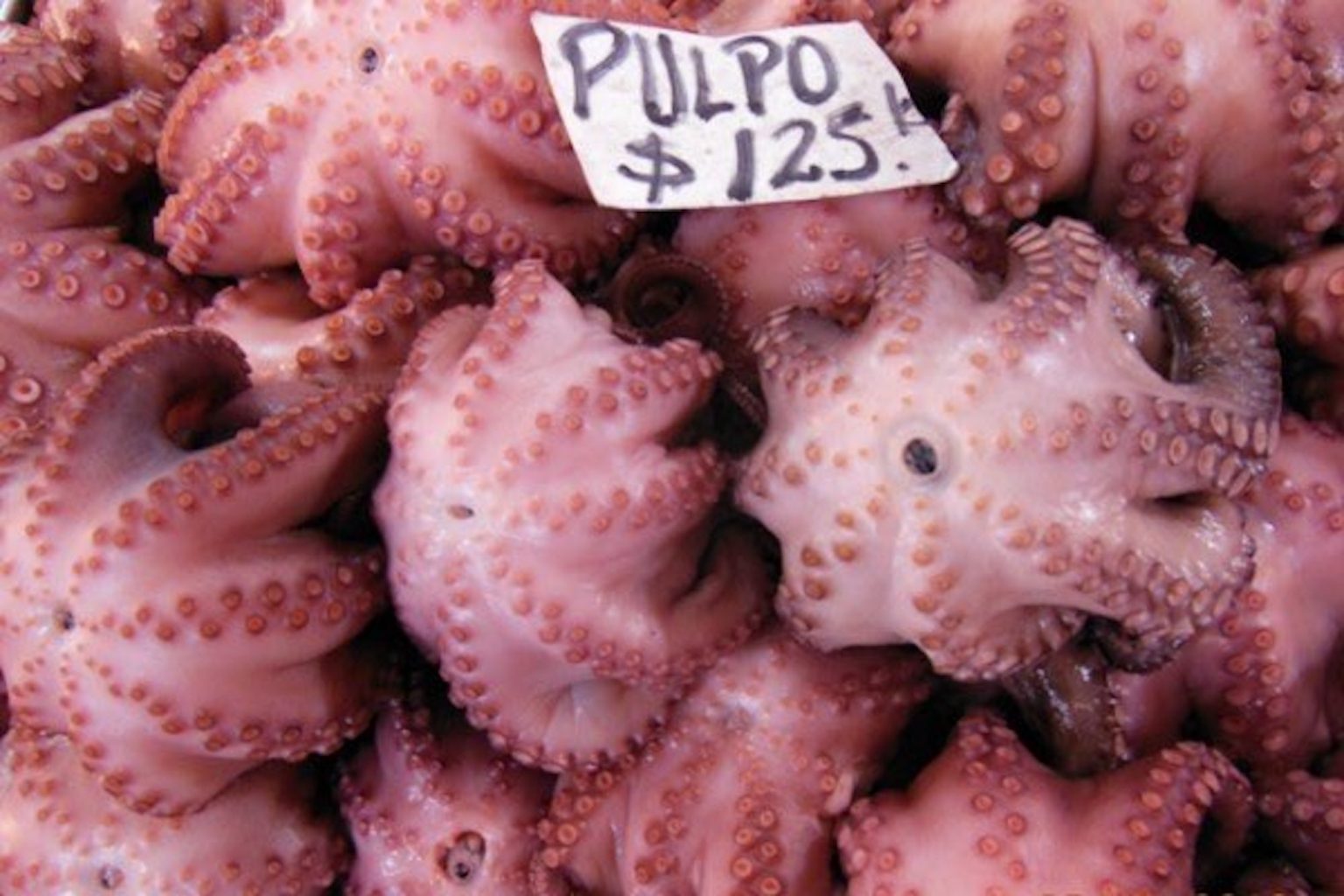 Receta de pulpo enamorado - AAMAP